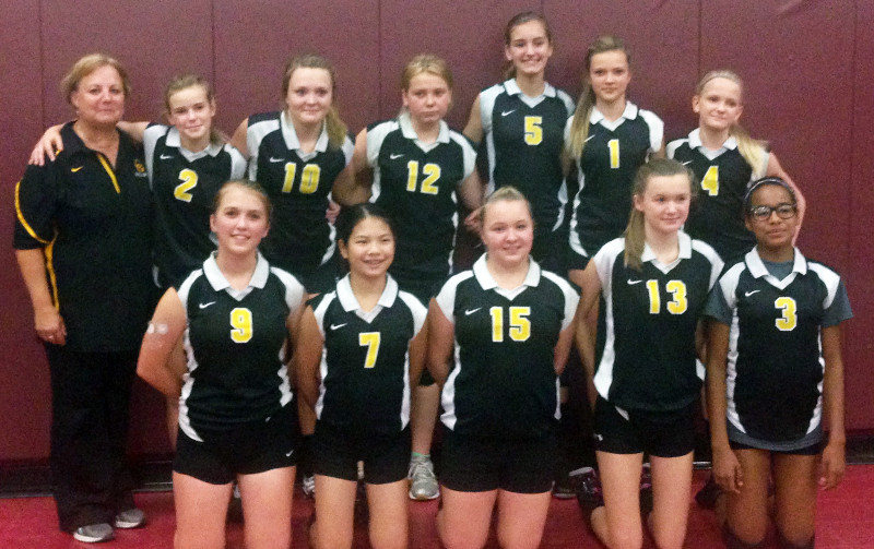 Clearbrook-Gonvick District 2311 - 7th grade Volleyball team finishes ...